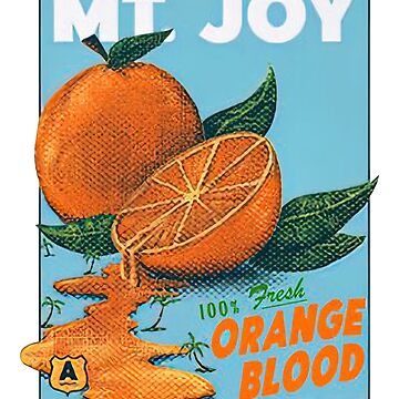 "Mt Joy Orange Blood Mt Joy Merch Men Women Shirt Boy Girl Young Shirt ...