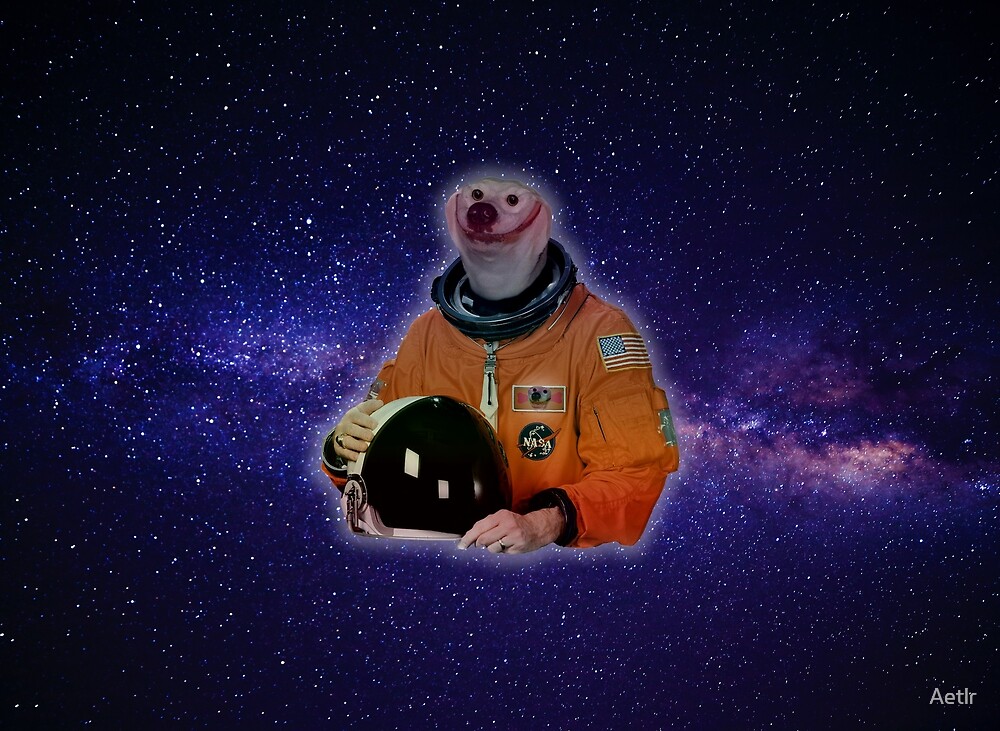 "Space Doggo" by Aetlr | Redbubble