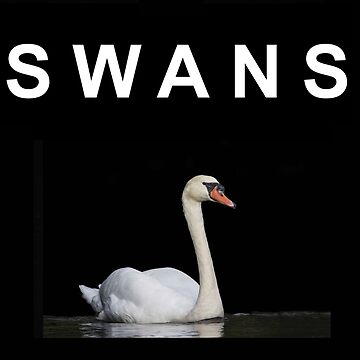 "Swans Band" Essential T-Shirt for Sale by Patrician Shirts | Redbubble