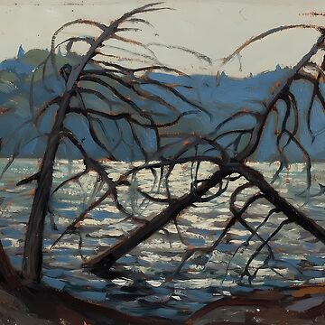 "Tom Thomson Canoe Lake Spring 1914" Poster for Sale by TheRedVineyard ...