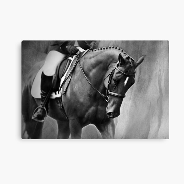 Dressage Horse Canvas Prints | Redbubble