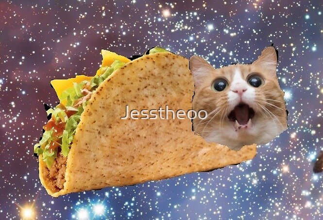 "GALAXY KITTY IN TACO!!" by Jesstheoo | Redbubble