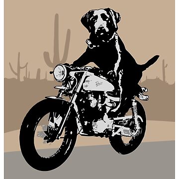 "Easy Rider" Sticker for Sale by typicalartguy | Redbubble