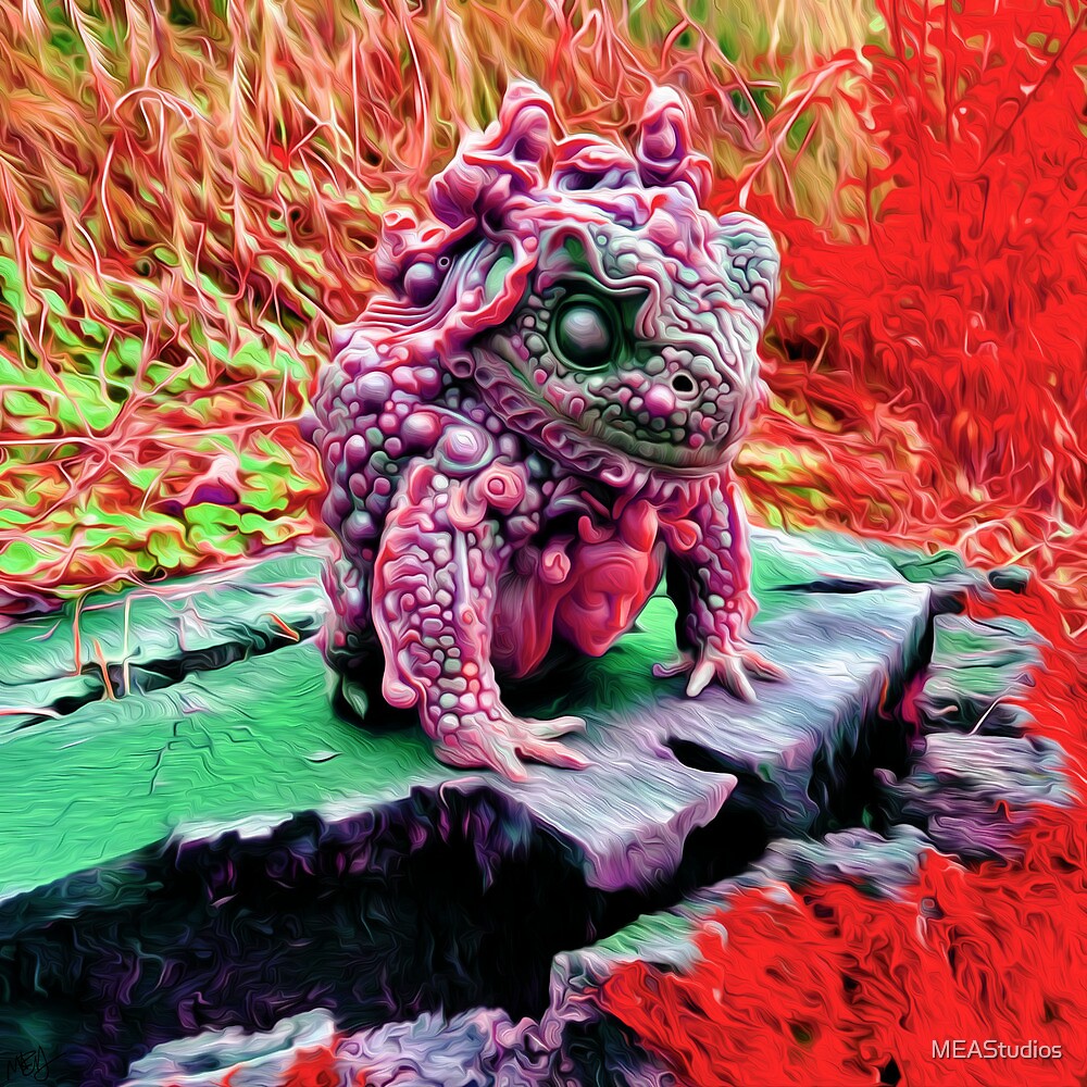 "Toad Deity, Unique Art, Rare Art, Toad Art, Toad Picture, Toad Decor ...