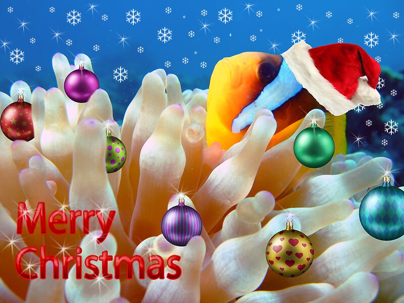 Underwater Christmas Card By Lilithlita Redbubble