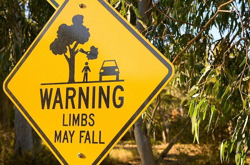 "warning limbs may fall" by Elli Schweizer | Redbubble