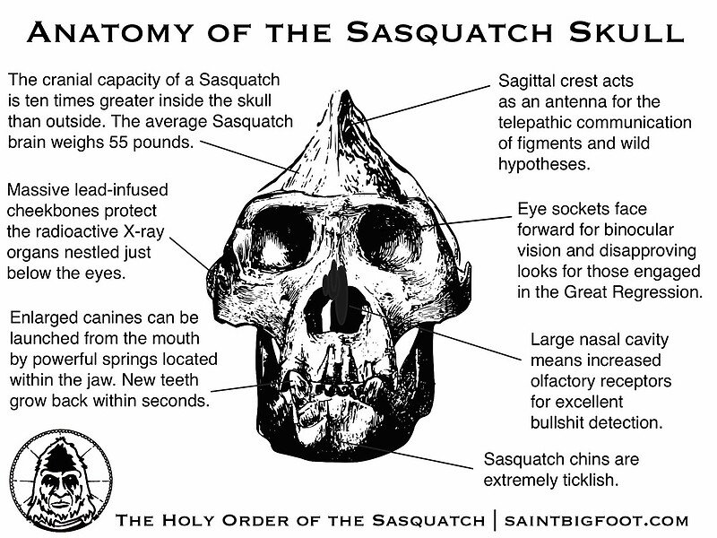 "Anatomy of the Sasquatch Skull" by SaintBigfoot | Redbubble