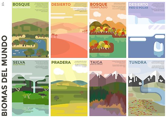 Láminas fotográficas «Biomas del mundo» de japicat | Redbubble