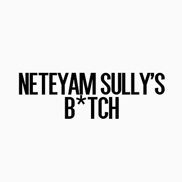 "Avatar: Neteyam Sully’s B*tch" Sticker for Sale by j creations | Redbubble
