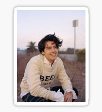 Cole Sprouse: Stickers | Redbubble