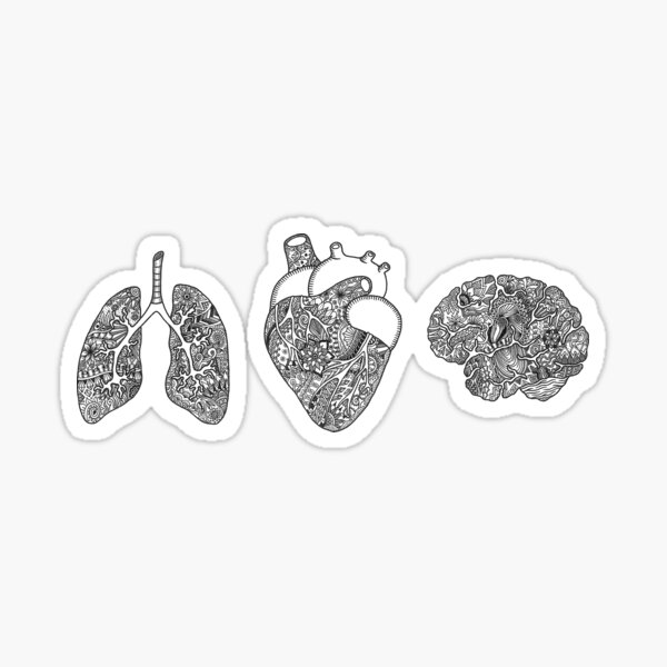 Lungs Stickers | Redbubble