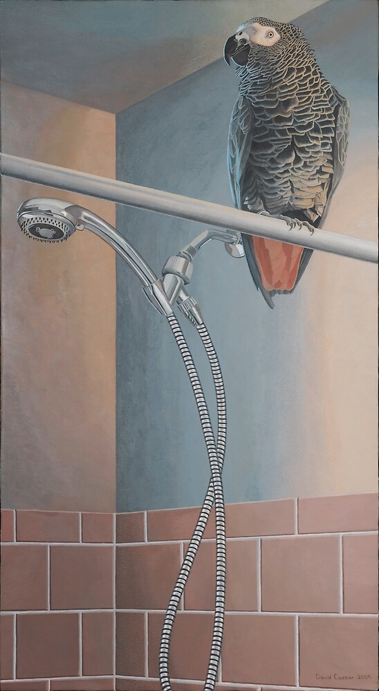 "Cinder" by David Caesar | Redbubble