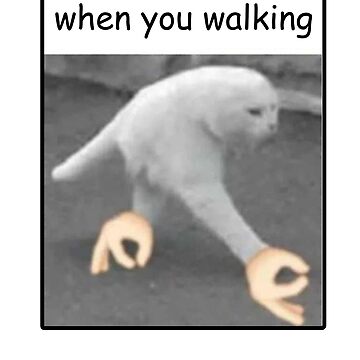 "when you walking meme" Sticker for Sale by Animagic0 | Redbubble