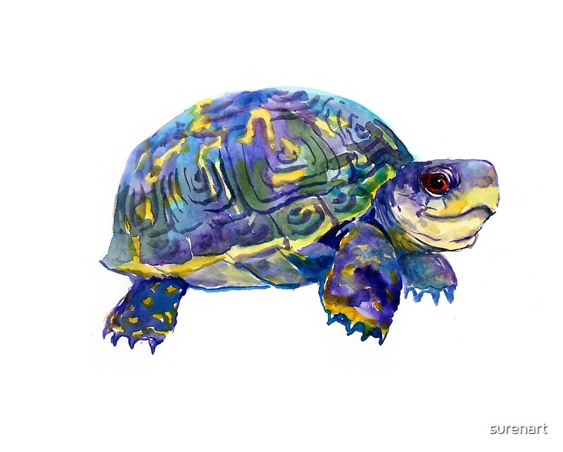 "Baby Turtle Blue purple teal Nurseyr children turtle illustration" by ...
