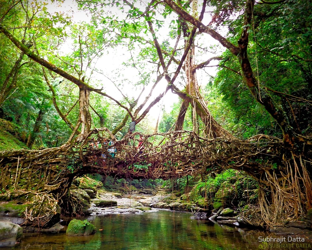"Bridge created by nature" by Subhrajit Datta | Redbubble
