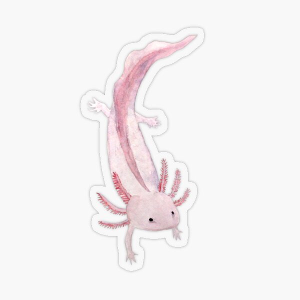 Axolotl Gifts & Merchandise | Redbubble