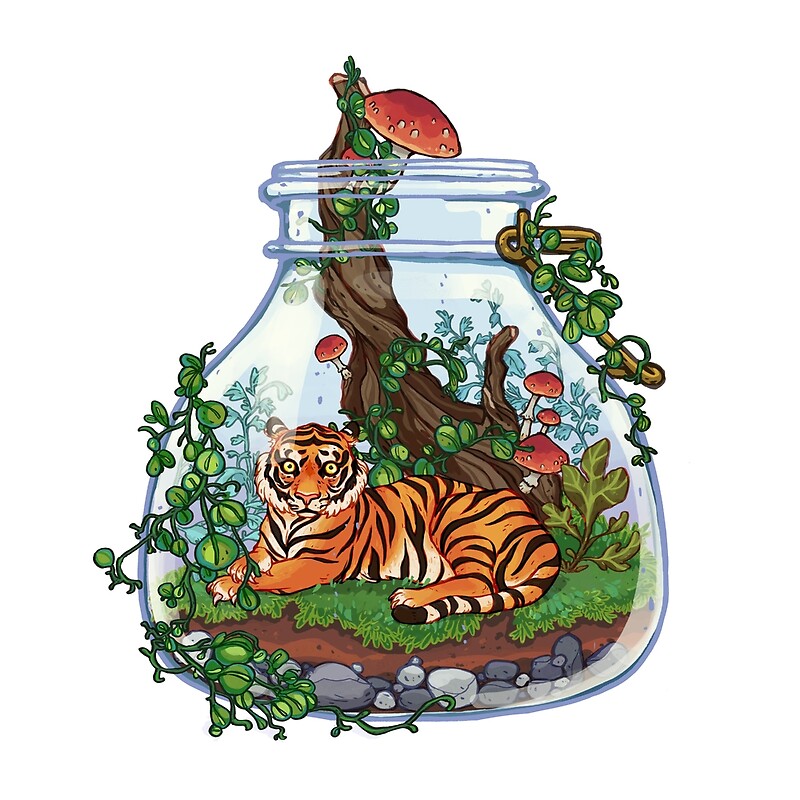 "Tiger Plant Terrarium" by SingDoodle | Redbubble