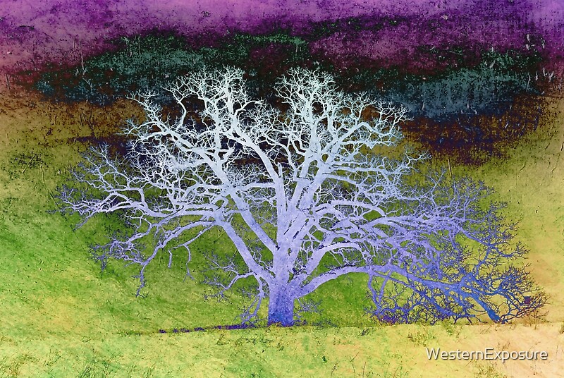 "Lenten Moon" by WesternExposure | Redbubble