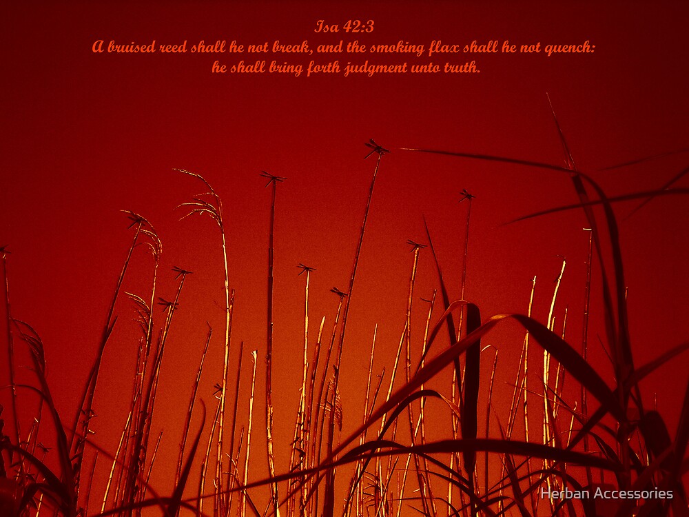  Isaiah 42 3 De Michael Reimann Redbubble