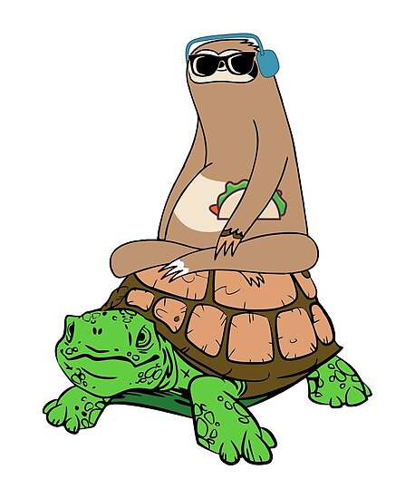 "Sloth Riding Turtle With Taco T Shirt | Sloth and Turtle Shirt ...