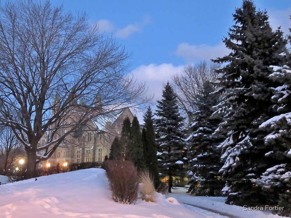 "Twilight Weaves Its Magic" by Sandra Fortier | Redbubble