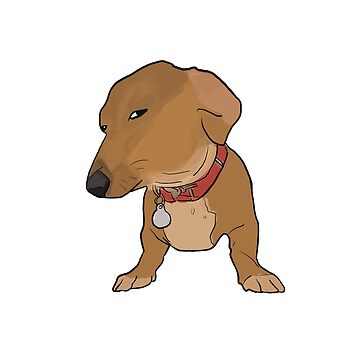 Lámina fotográfica for Sale con la obra «Meme de perro salchicha de ojo ...