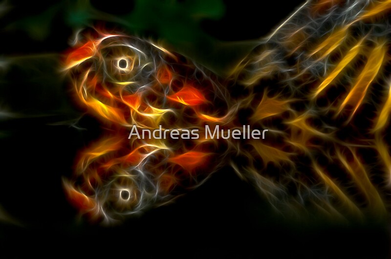 "Eastern Box Turtle Fractal" by Andreas Mueller | Redbubble