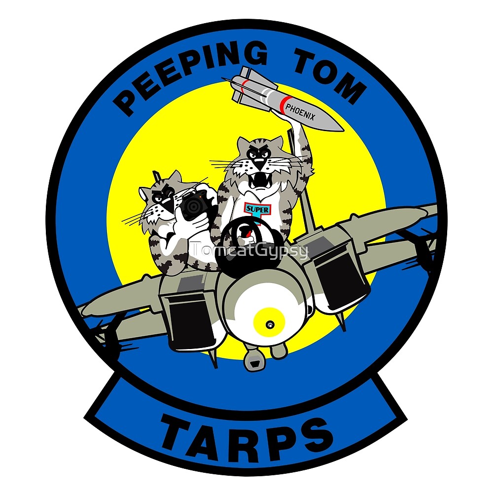 "F-14 Tomcat - TARPS Peeping Tom Phoenix 54 - Clean Style" by ...