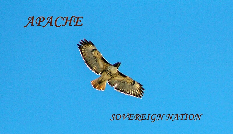« APACHE, Nation Souveraine » par Shilohlin Pfeiffer | Redbubble