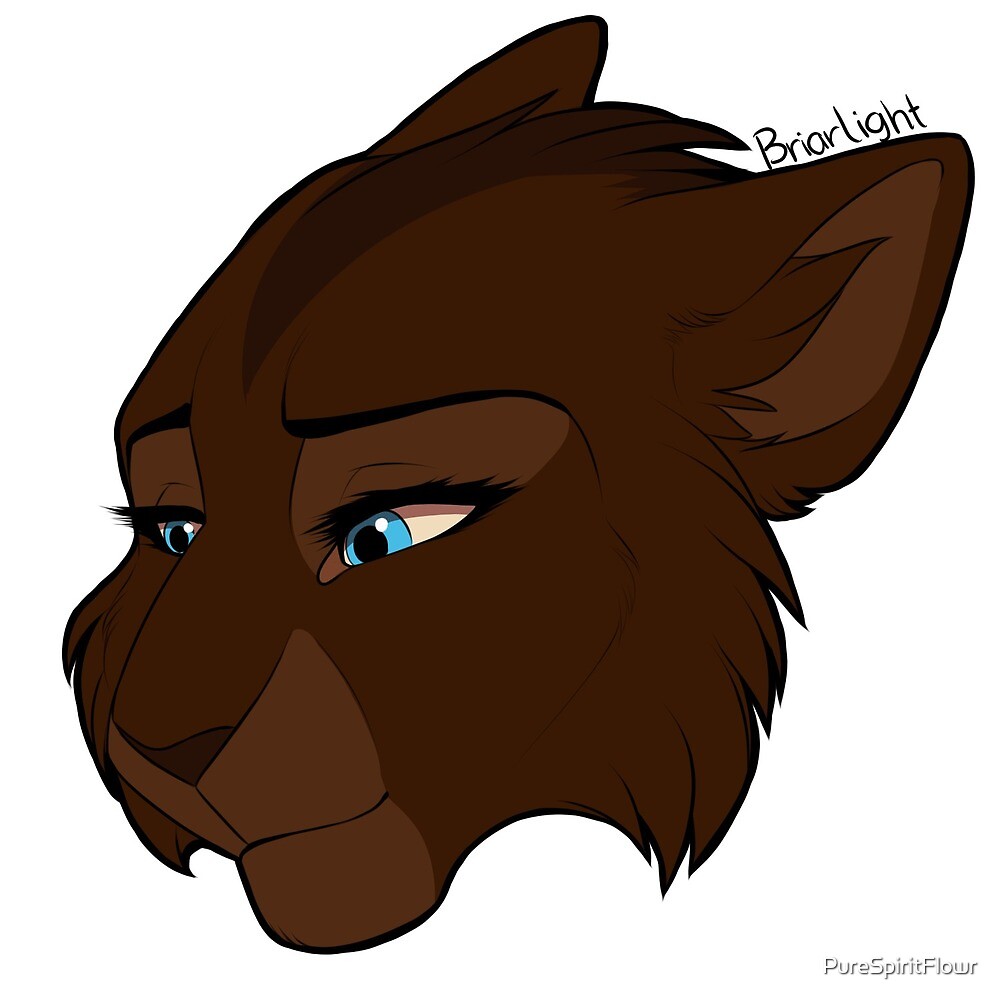 Warrior Cats Briarlight Briarlight And Jayfeathers Kits By Kamibee On