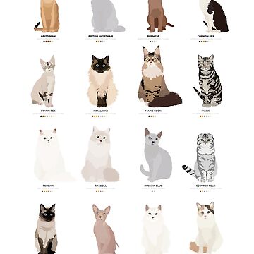 "Illustrated Cat Breeds Chart" Poster for Sale by Alo Design | Redbubble