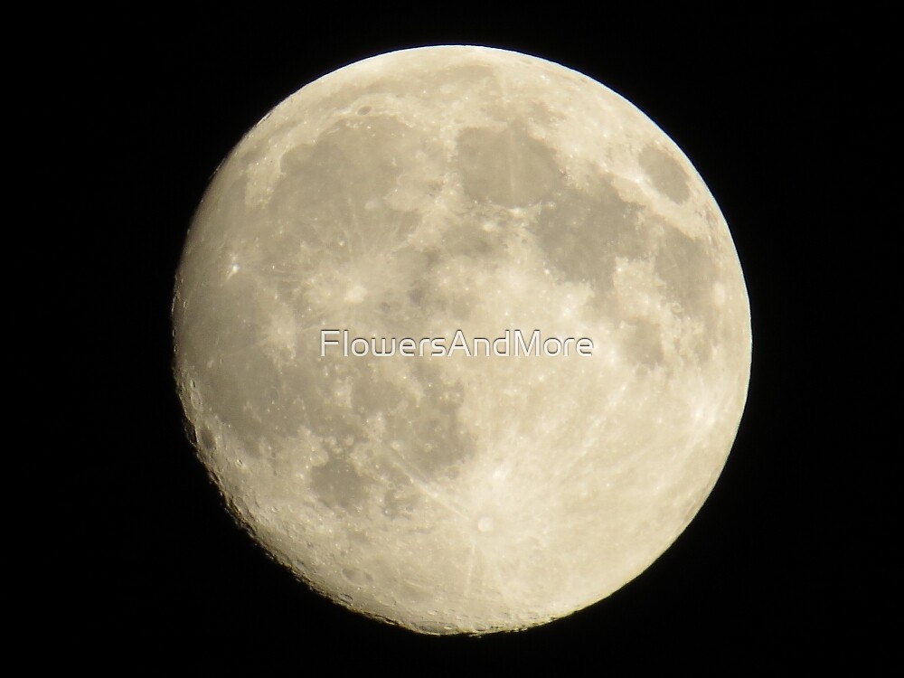 "Full Moon" by FlowersAndMore | Redbubble