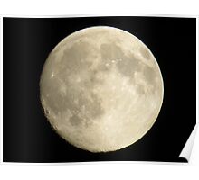 "Full Moon" by FlowersAndMore | Redbubble