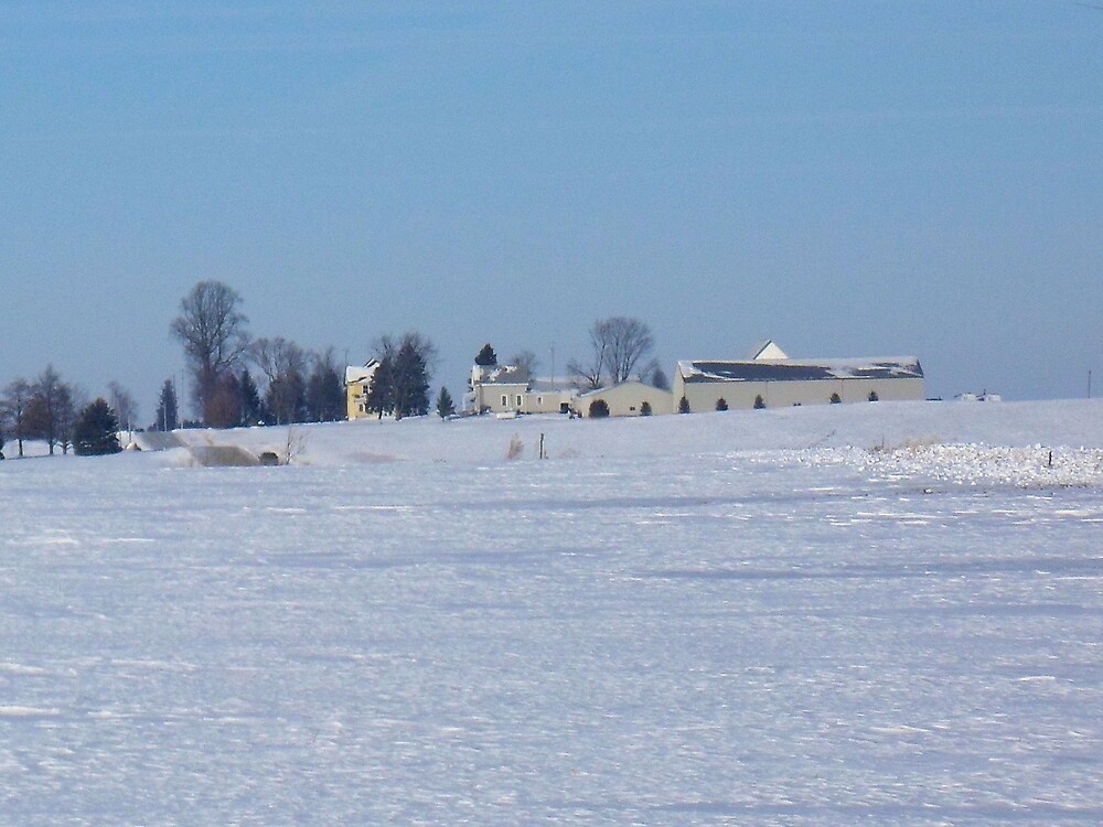 "Indiana in January " by John McCloskey | Redbubble