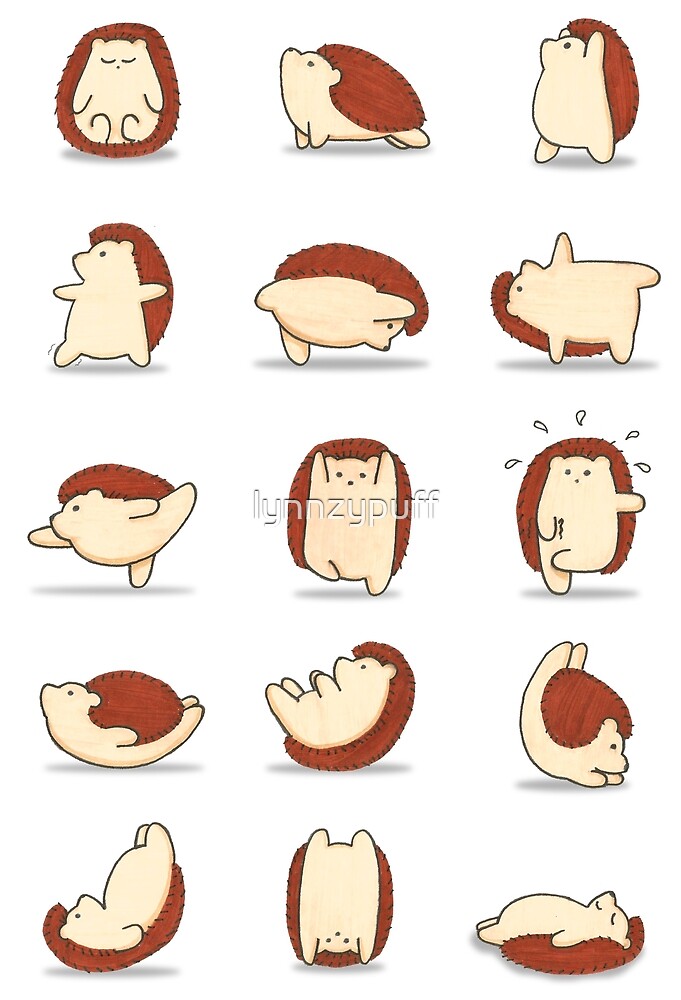 "Hedgehog yoga" by lynnzypuff | Redbubble