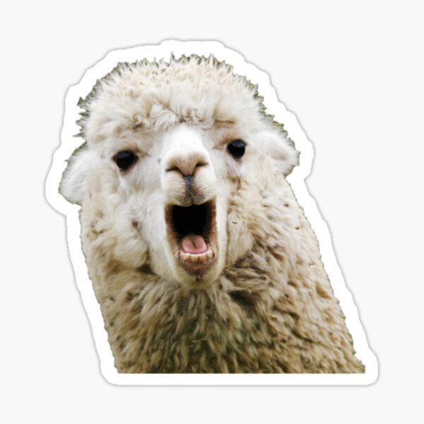 Llama Stickers | Redbubble