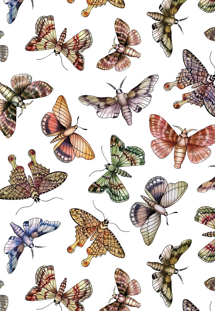 "A Multitude Of Moths - Colorful Moth Pattern" by somecallmebeth ...