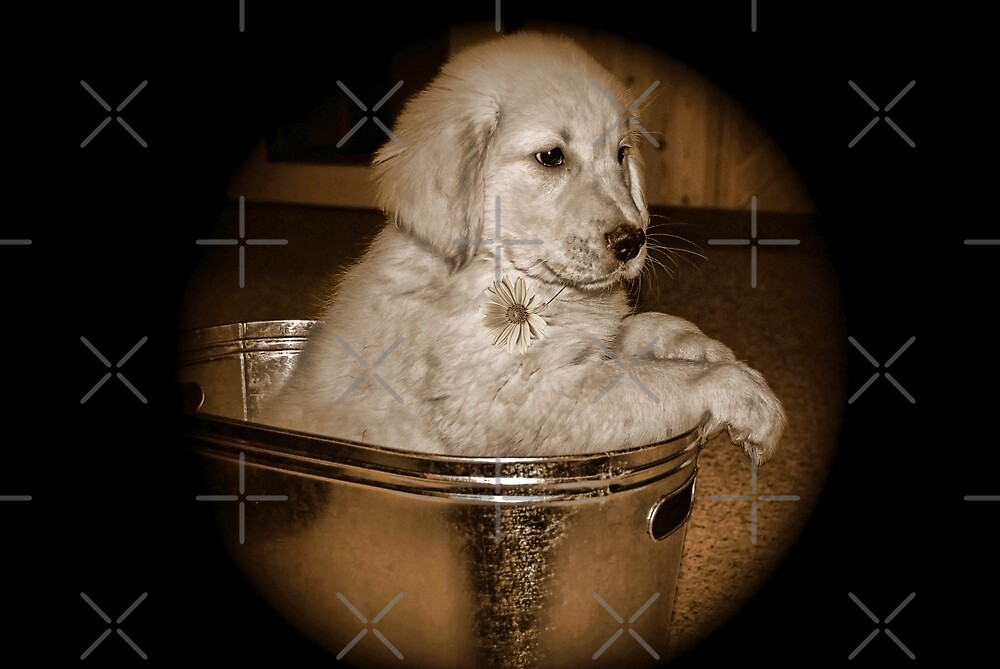 "Happiness Is A Warm Puppy" by Maria Dryfhout | Redbubble