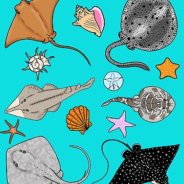 "Rays" Sticker for Sale by sharkbait83 | Redbubble