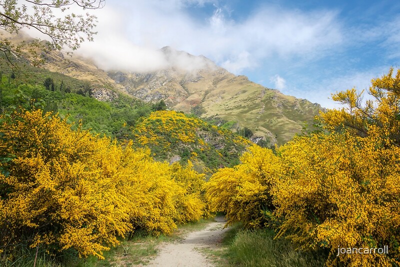 "Springtime in New Zealand" by joancarroll | Redbubble