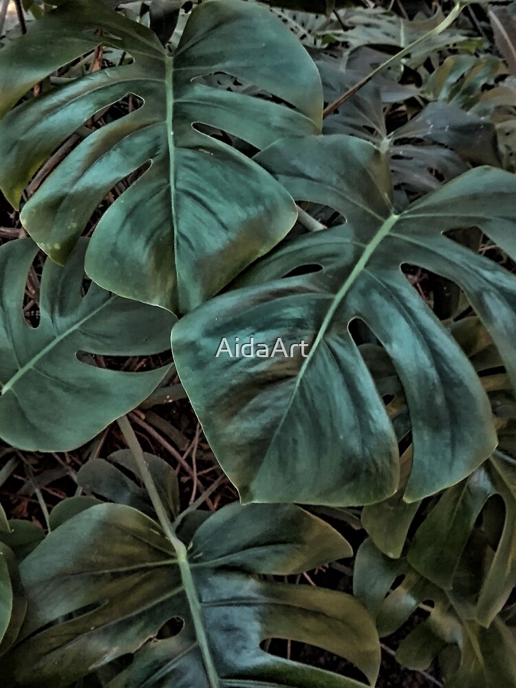 "dark monstera" by AidaArt | Redbubble