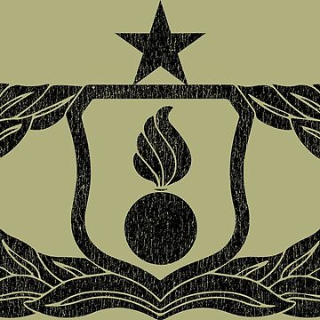 "Air Force AMMO Badge - Crew Chief" Sticker for Sale by 461VCC | Redbubble