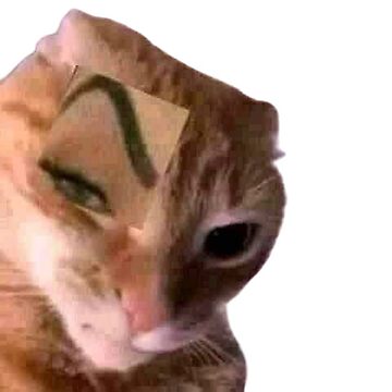 "raised eyebrow cat" Sticker for Sale by Alpha7235 | Redbubble