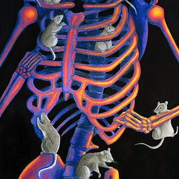 "Skeleton Rat Rave" Sticker for Sale by ShadowLily03 | Redbubble