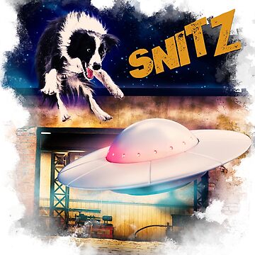 "Snitz dog Bob's Saucer Repair Bob and Nikki" Sticker for Sale by Jerry ...