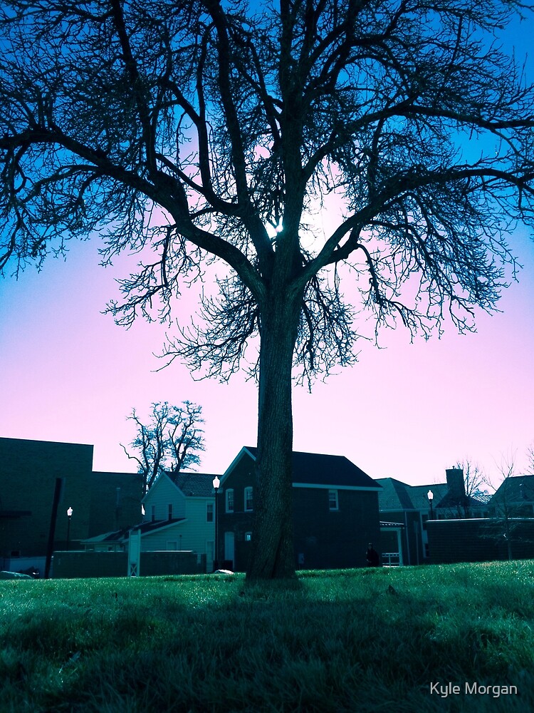 "Tree Shadow in a Purple Sky" by Kyle Morgan | Redbubble