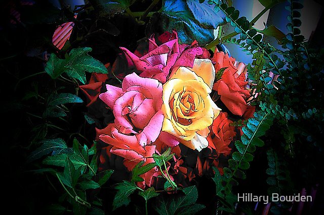 "A Banquet of Roses" by Hillary Bowden | Redbubble