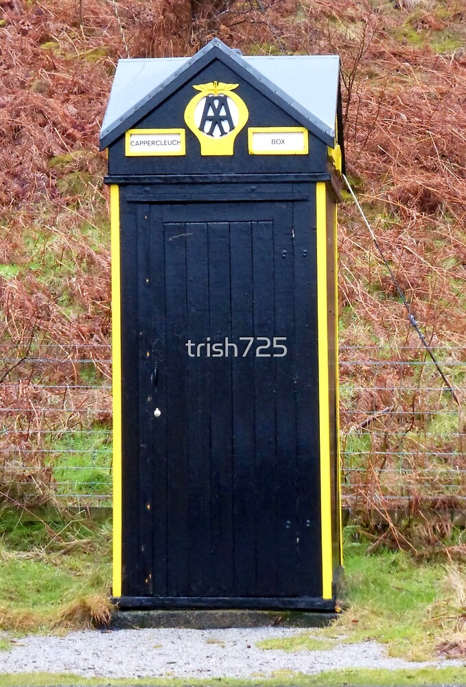 « Ancienne boîte AA » par trish725 | Redbubble