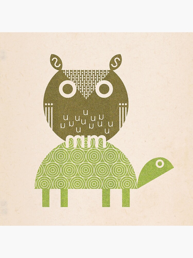 "owl and turtle" Photographic Print by scottpartridge | Redbubble