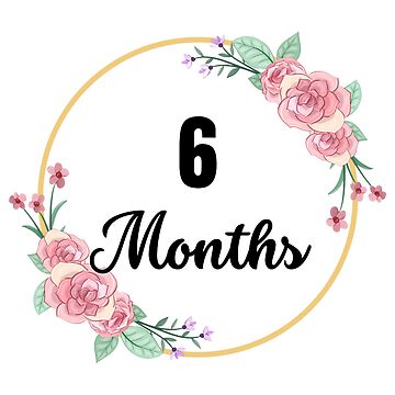 "6 Months Milestone Baby Girl Pink Floral Script" Sticker for Sale by ...